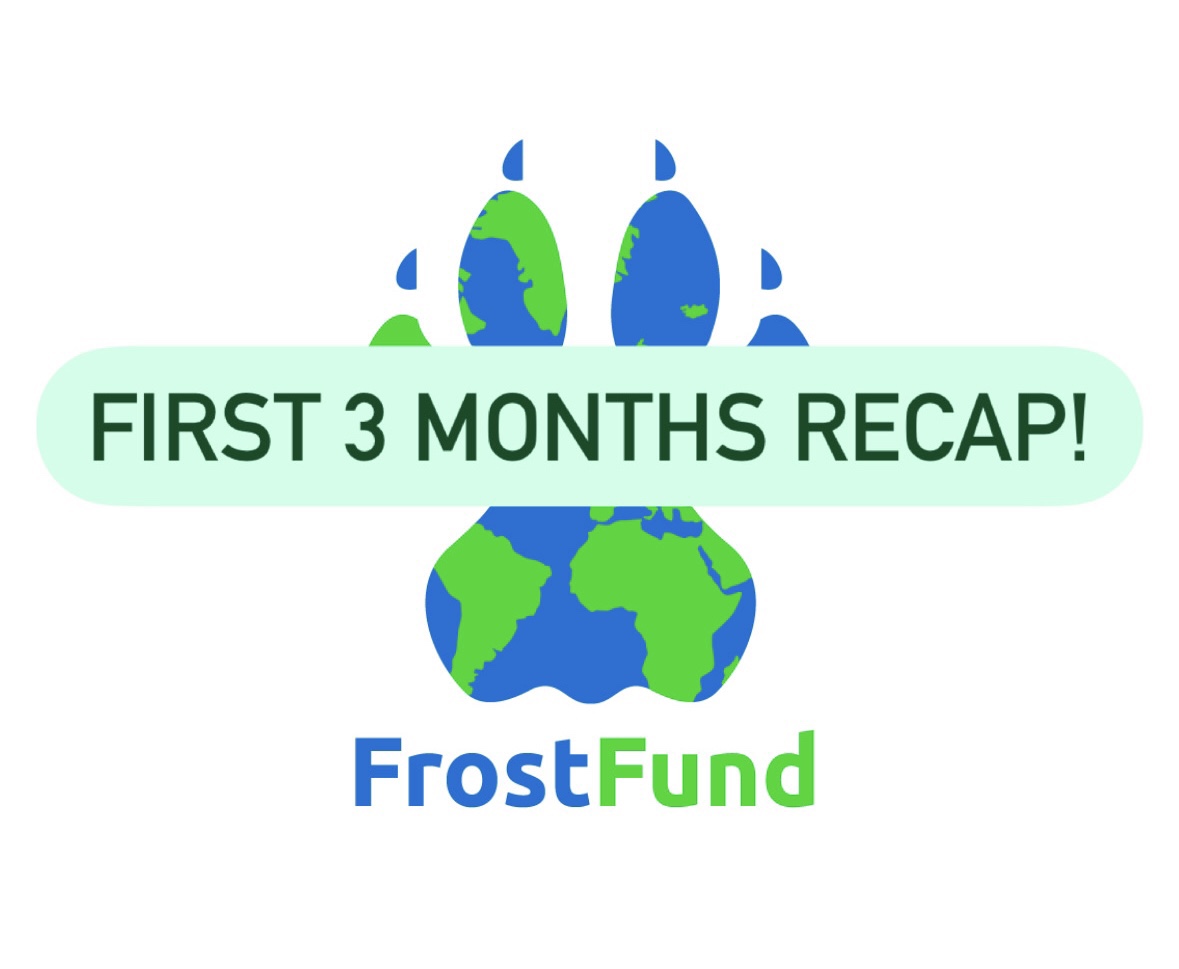 Frost Fund’s First Three Month Recap! – Frost Fund