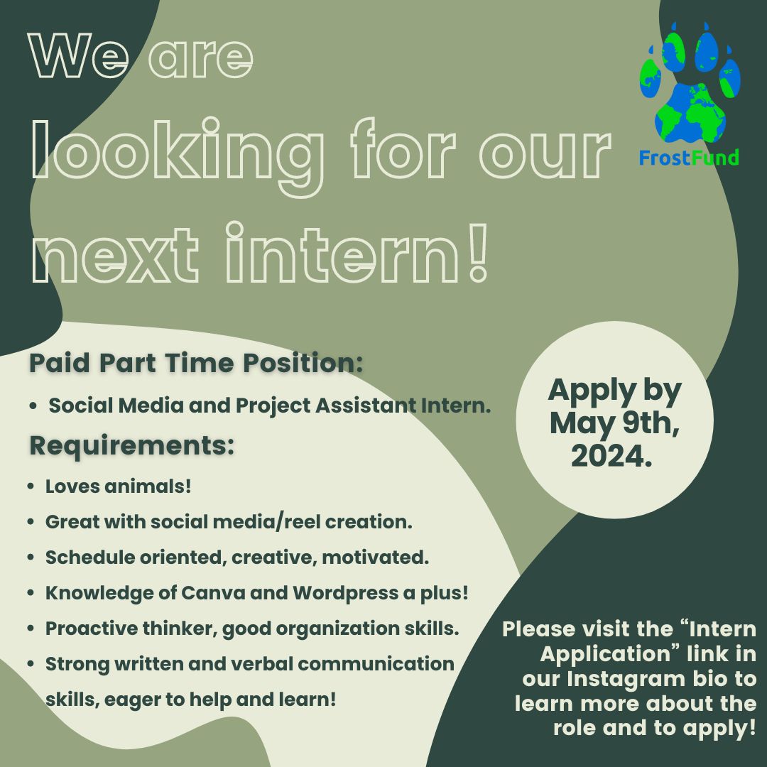 Are You Our Next Intern? – Frost Fund